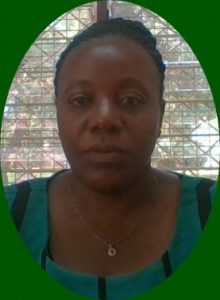 ACADEMIC STAFF IN THE DEPARTMENT OF CHEMISTRY AND PHYSICS - Department ...